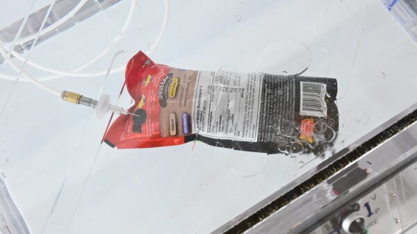 Vacuum packed fish leak testing ASTM F2096-11 | Dvaci